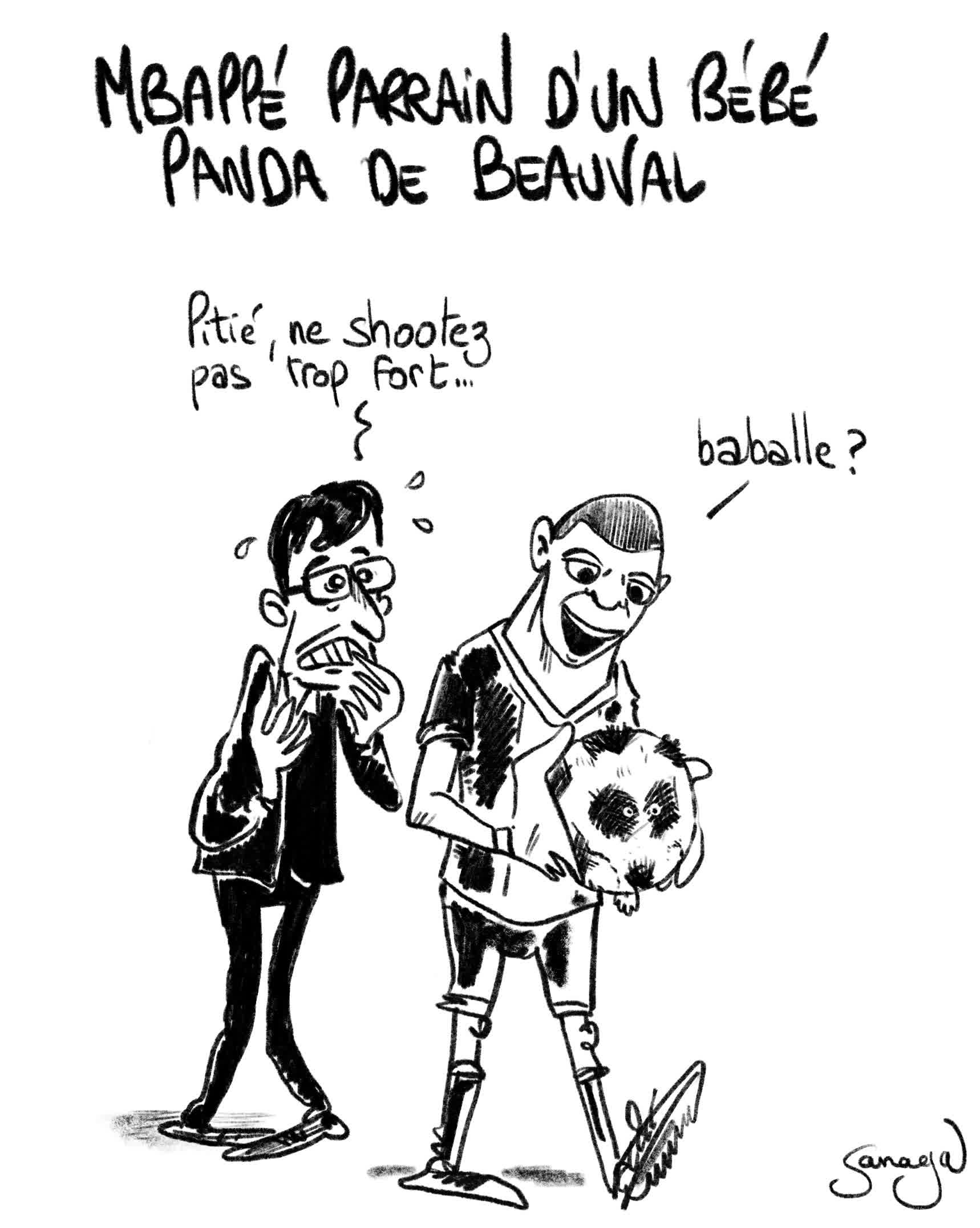 Mbappe-panda-beauval - Sanaga